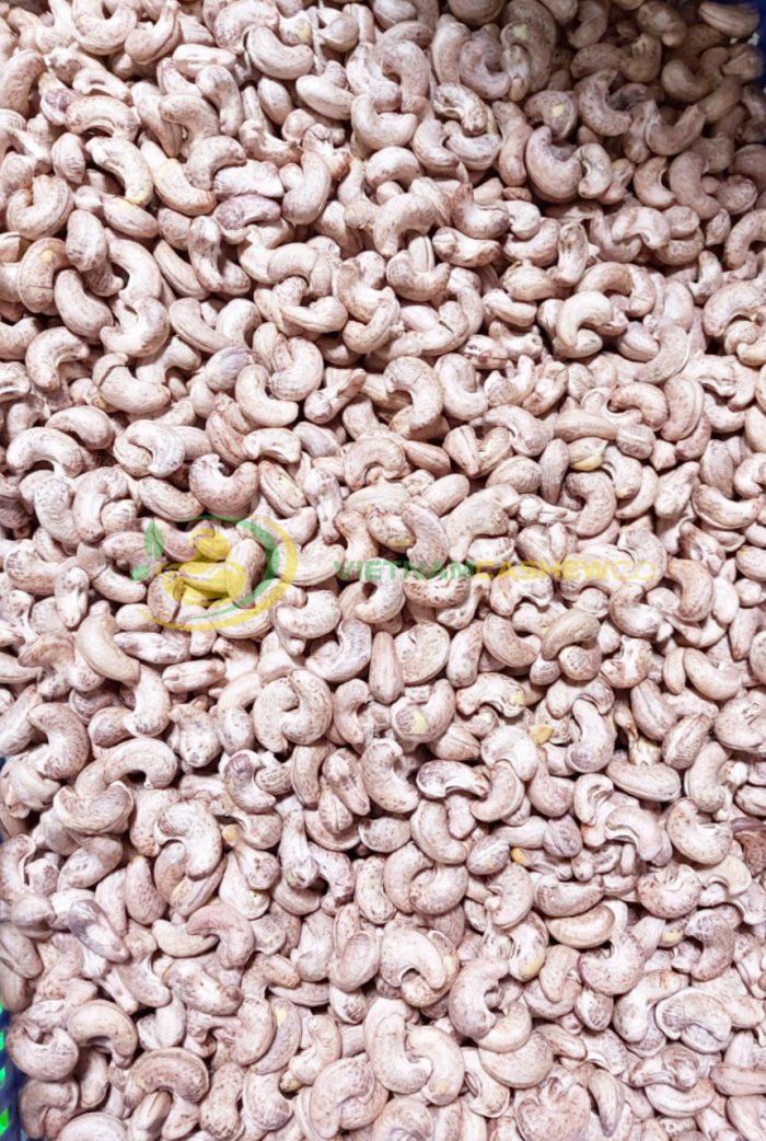 Salt Roasted Testa Cashew Nuts W210 - VIETNAM CASHEW PROCESSING JOINT ...