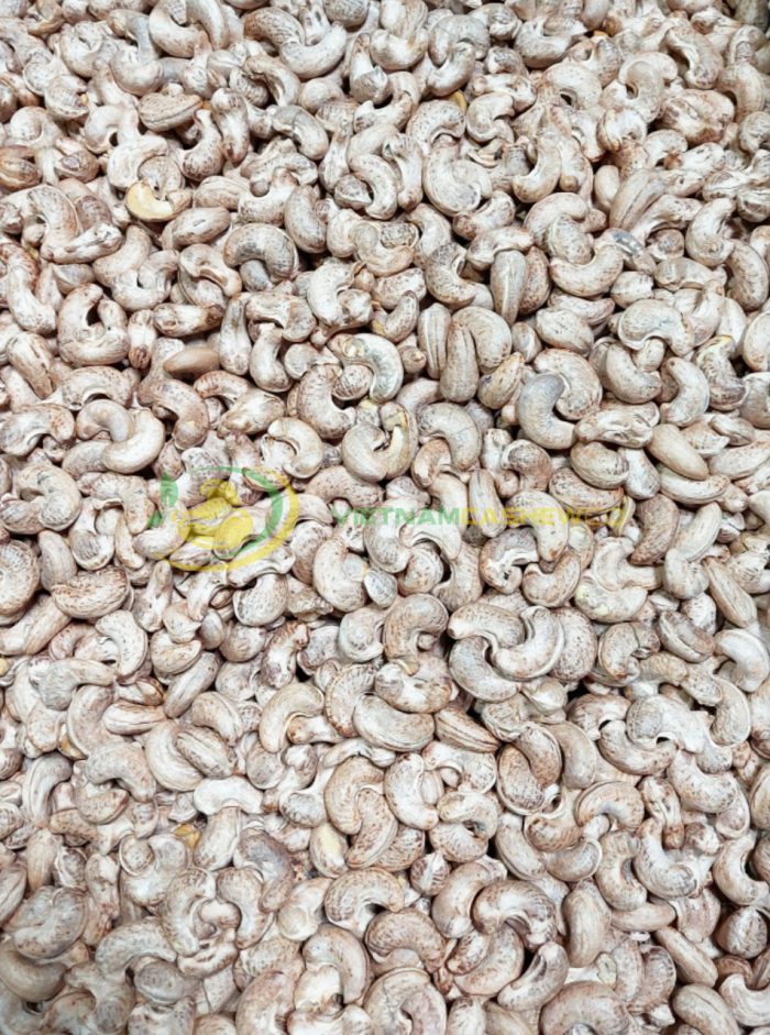 Salt Roasted Testa Cashew Nuts W240 - VIETNAM CASHEW PROCESSING JOINT ...